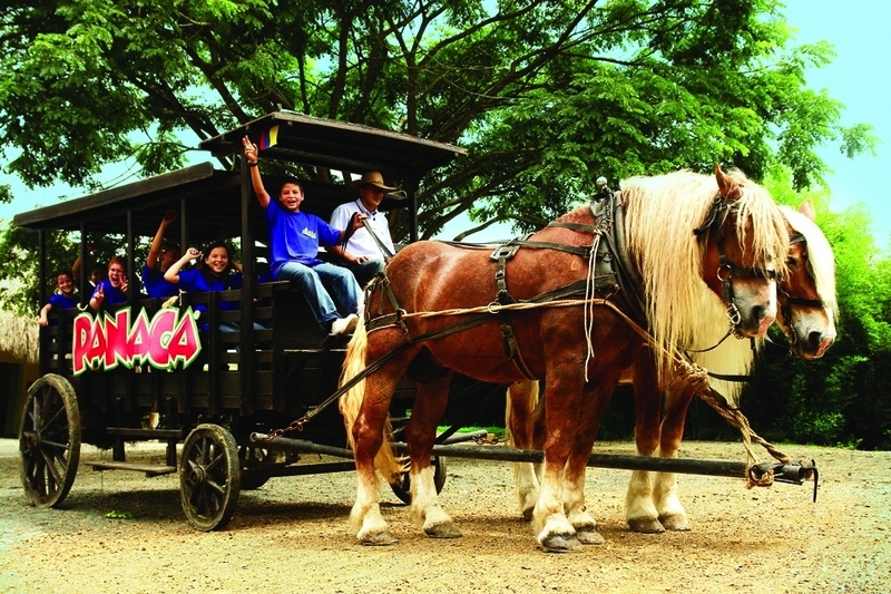 Alquiler Fincas Villavicencio | Eje Cafetero: LaFinca.com.co